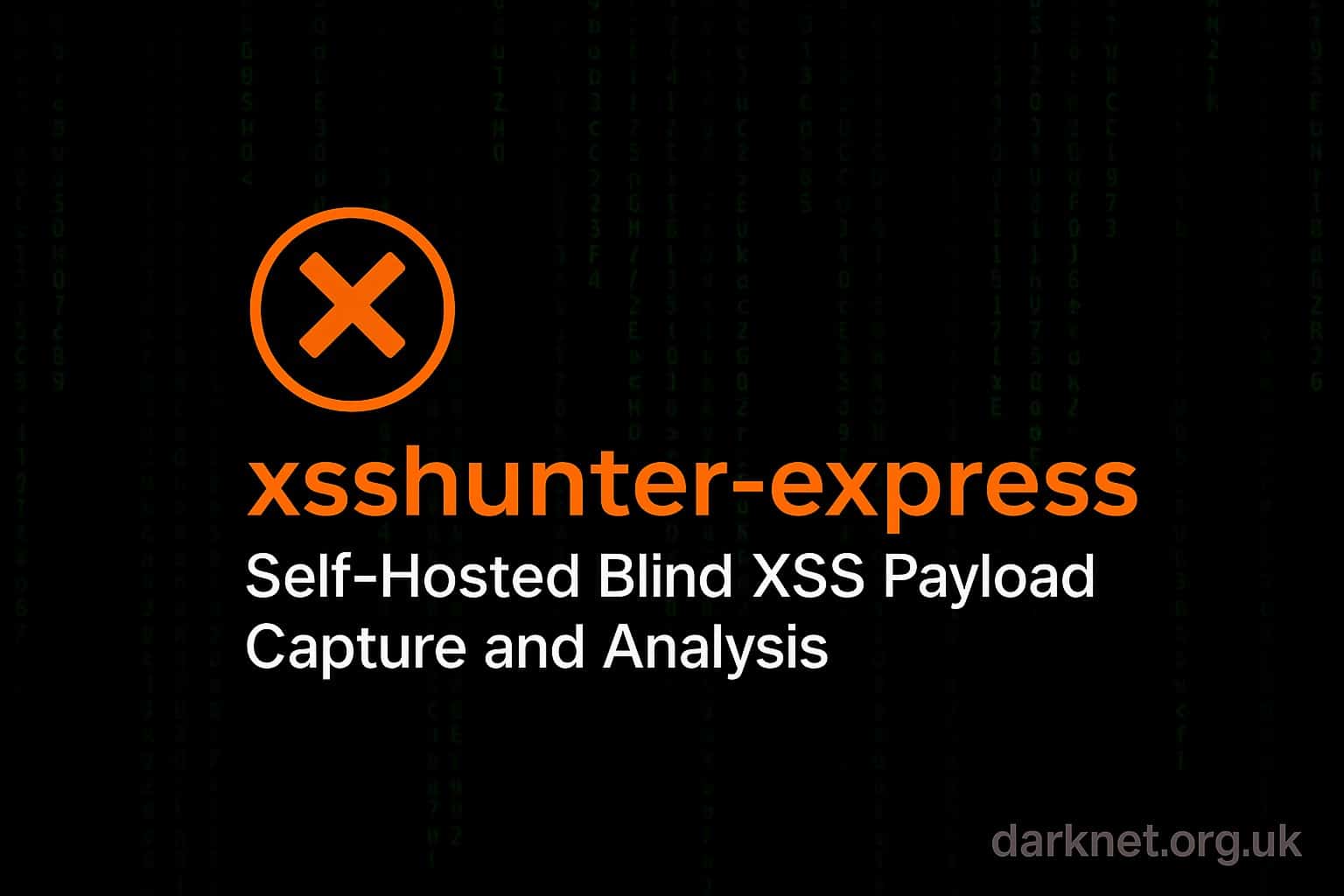 xsshunter-express - Self-Hosted Blind XSS Payload Capture and Analysis