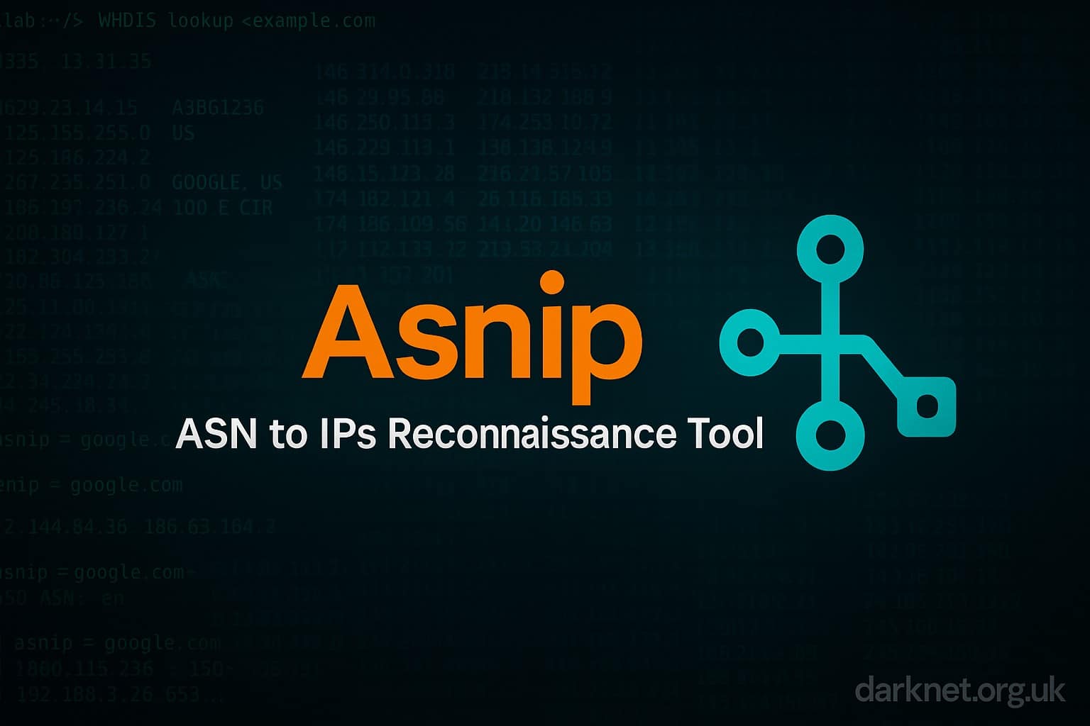 asnip - ASN Reconnaissance via Domain and IP Mapping